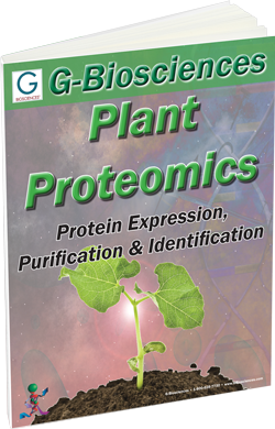 Plant Proteomics: Protein Identification, Purification and Concentration