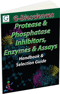 Protease & Phosphatase Enzymes, Their Inhibitors & Assays | G-Biosciences